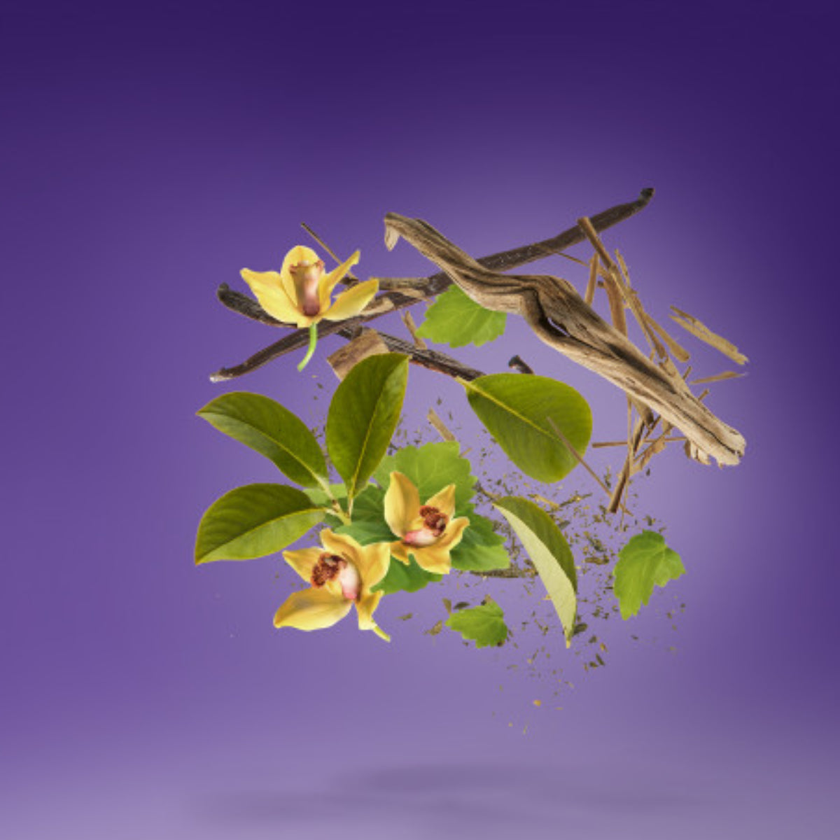 Xerjoff - Vibe - Laylati